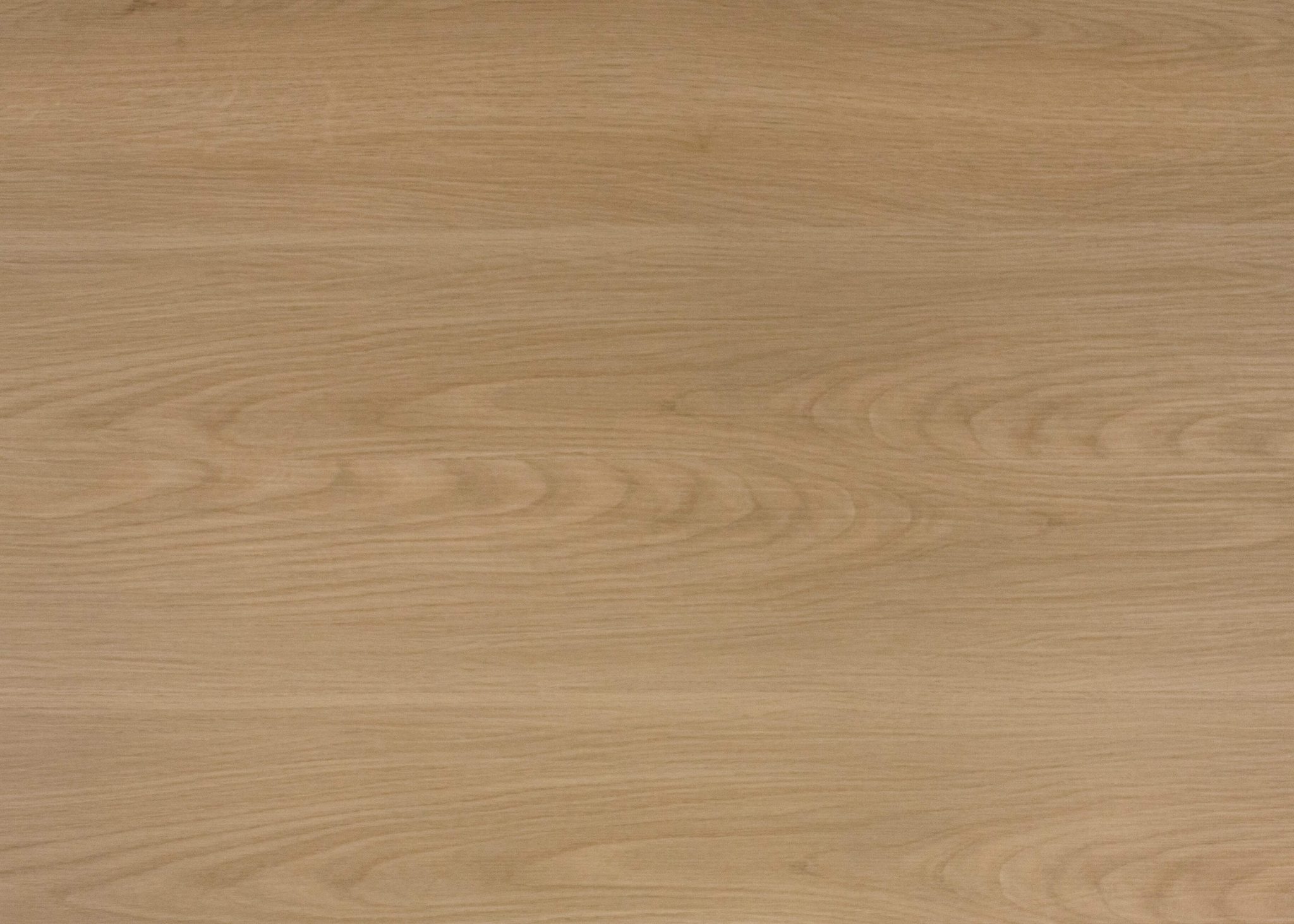 Trevo Floors | Prime Oak 8mm - Trevo Floors